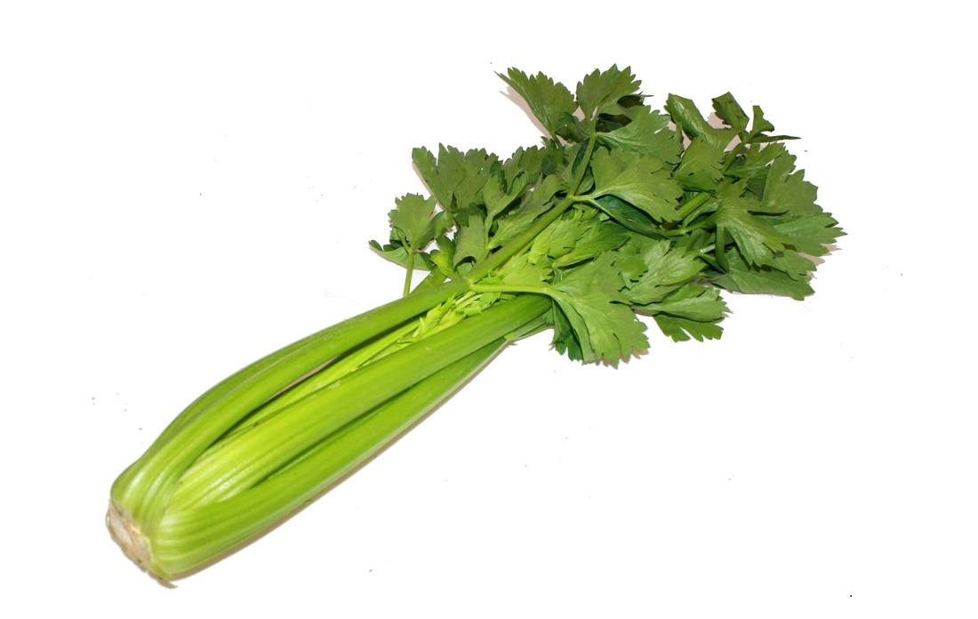 Groenten uit de tuin